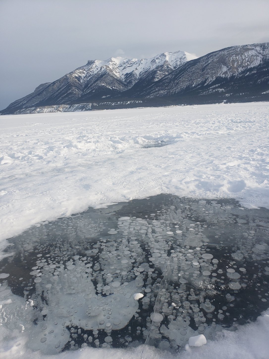 Abraham Lake- Banff’s Hidden Secret – The Tales Of Hales